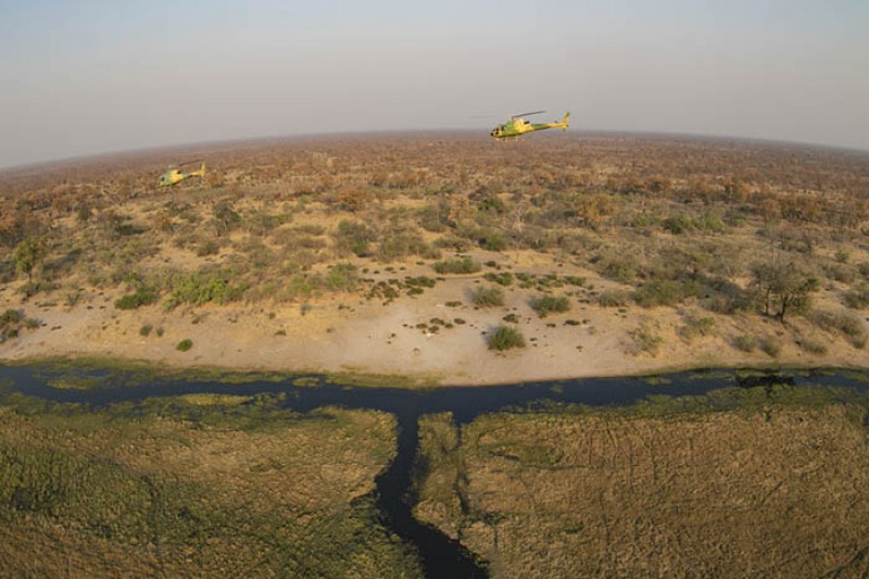 Five BDF members survive helicopter crash :: Mmegi Online
